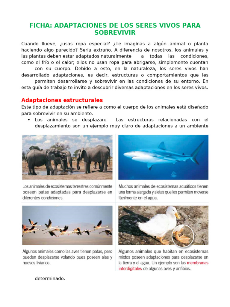 Adaptaciones de Seres Vivos para Sobrevivir | PDF | Mimetismo | Depredación