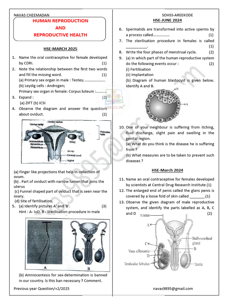 Human Reproduction & Health Q&A Guide | PDF | Menstrual Cycle ...