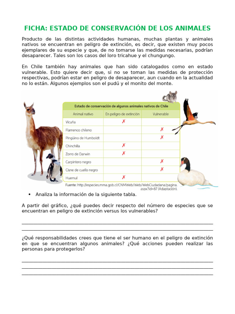 Ficha Ciencias - Estado Conservacion de Los Animales | PDF | Especie en peligro | Extinción