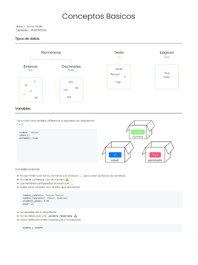 Conceptos Basicos | PDF