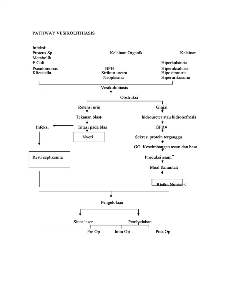 PDF Pathway Vesikolithiasisdocx - Compress | PDF