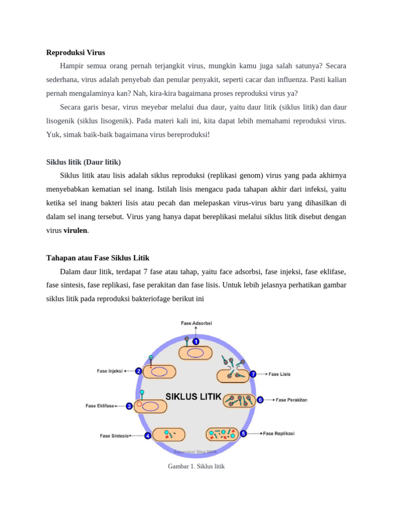 Proses Reproduksi Virus Litik dan Lisogenik | PDF