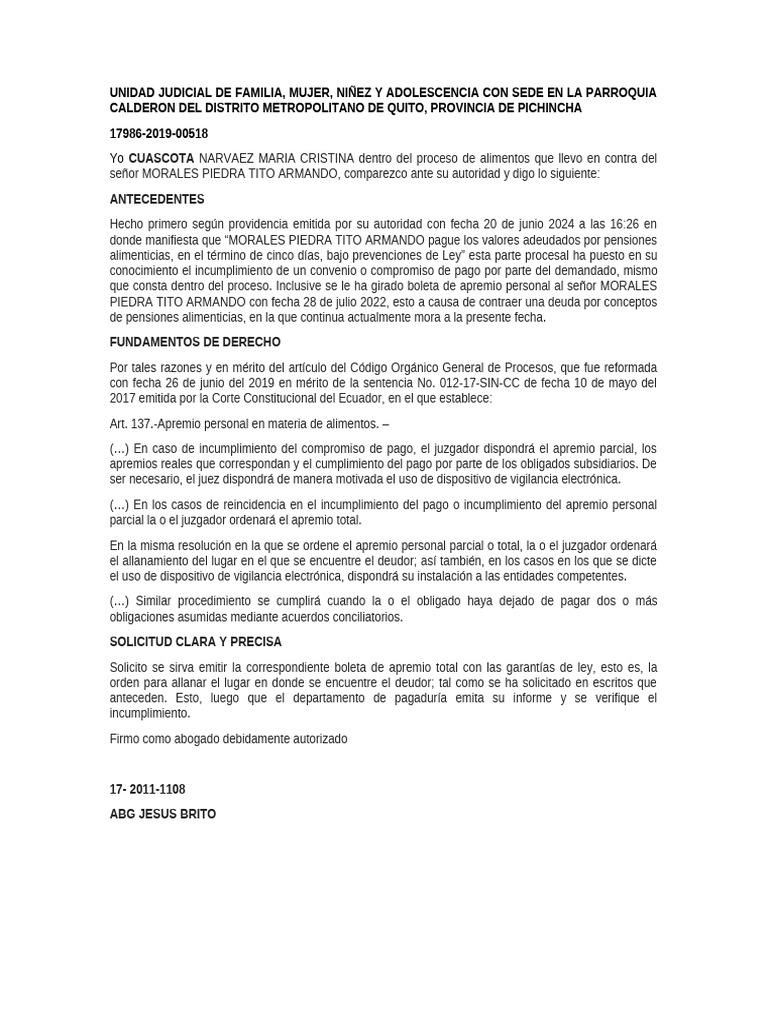 Defir Iñaquito y Boleta | PDF | Pensión alimenticia | Judicaturas