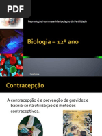 Bula Perlutan | PDF | Anticoncepcionais | Gravidez