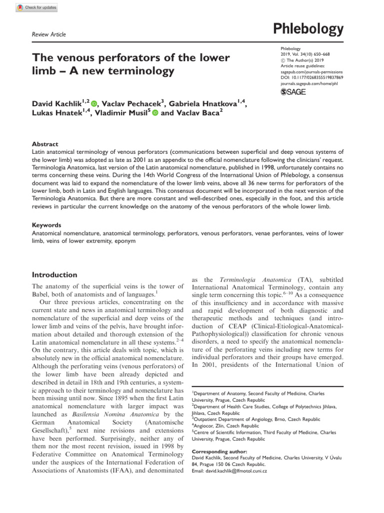 Terminology of Lower Limb Perforators | PDF | Vein | Foot