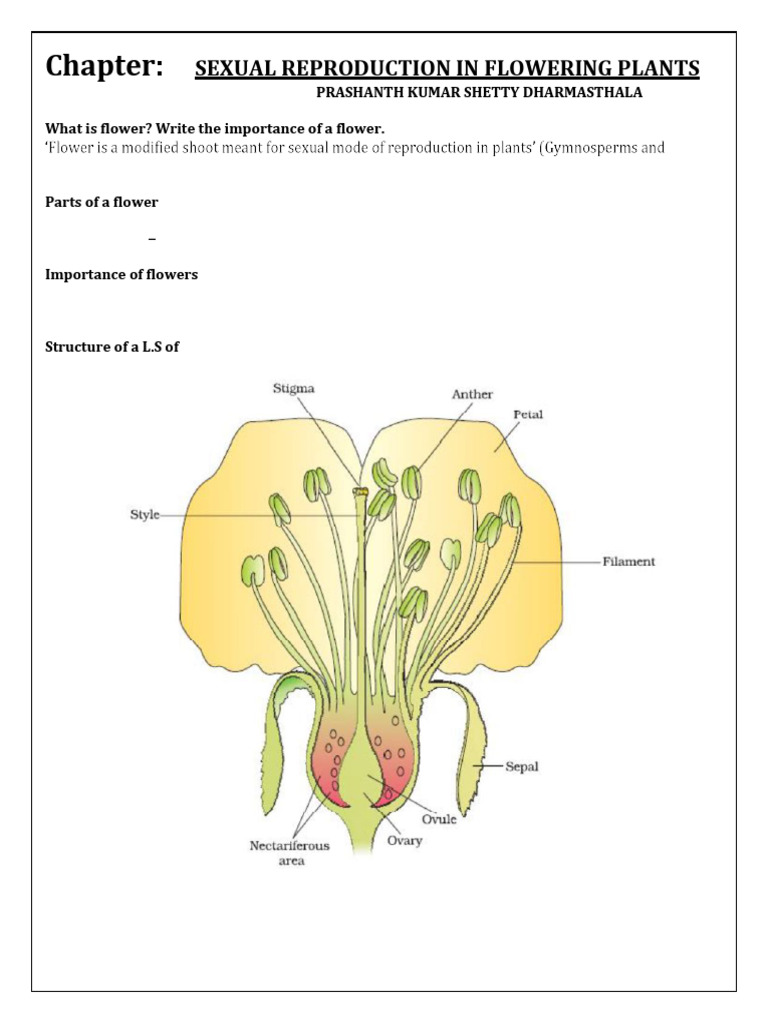 Sexual Reproduction Flowering Plants Notes | PDF | Seed | Flowers