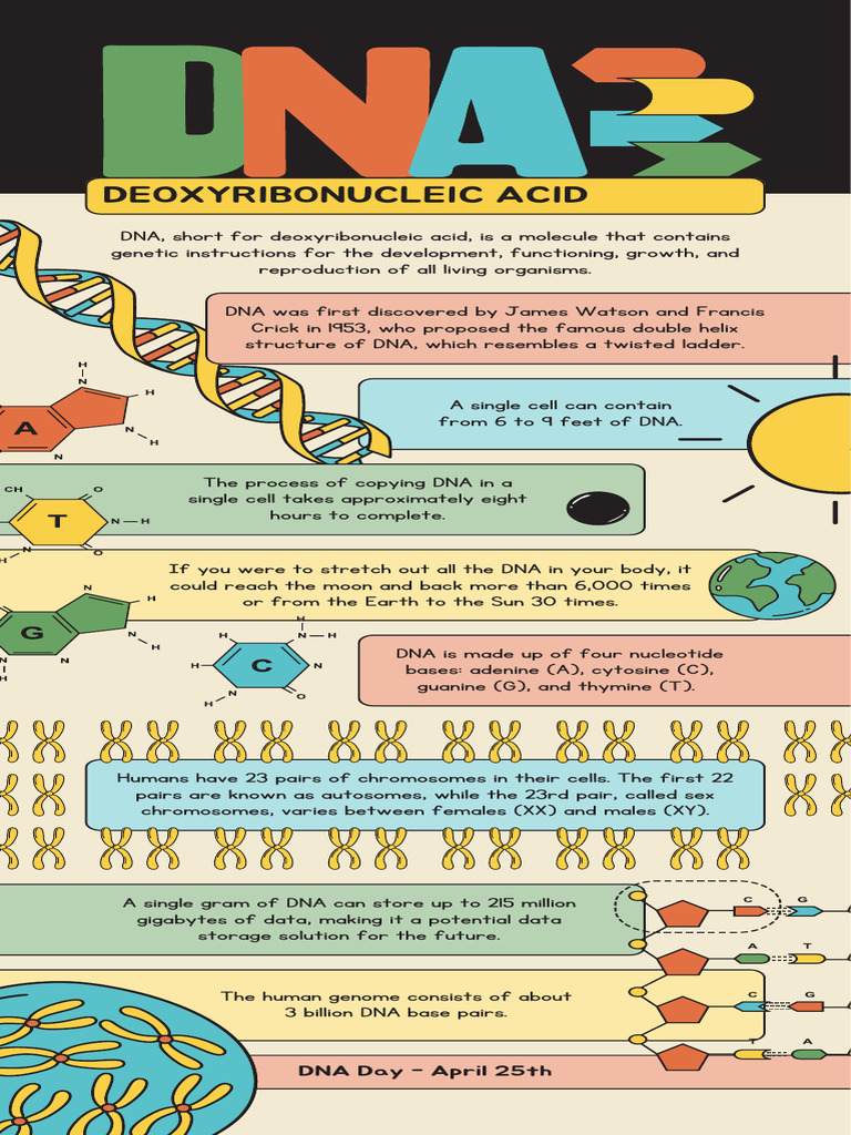 Colorful Illustrative DNA Day Science Educational Infographic | PDF