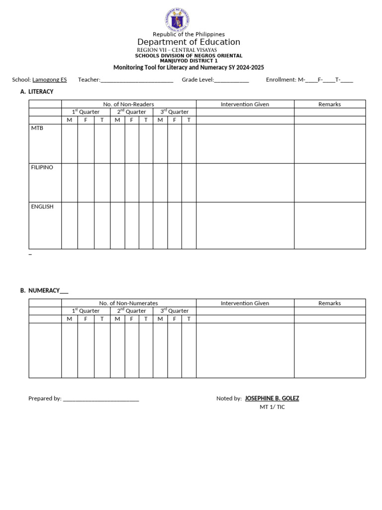 Literacy and Numeracy Monitoring Tool | PDF