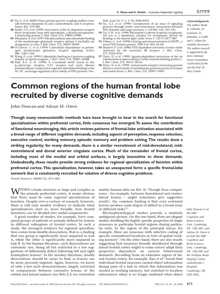 Frontal Lobe and Diverse Cognitive Demand | PDF | Prefrontal Cortex ...