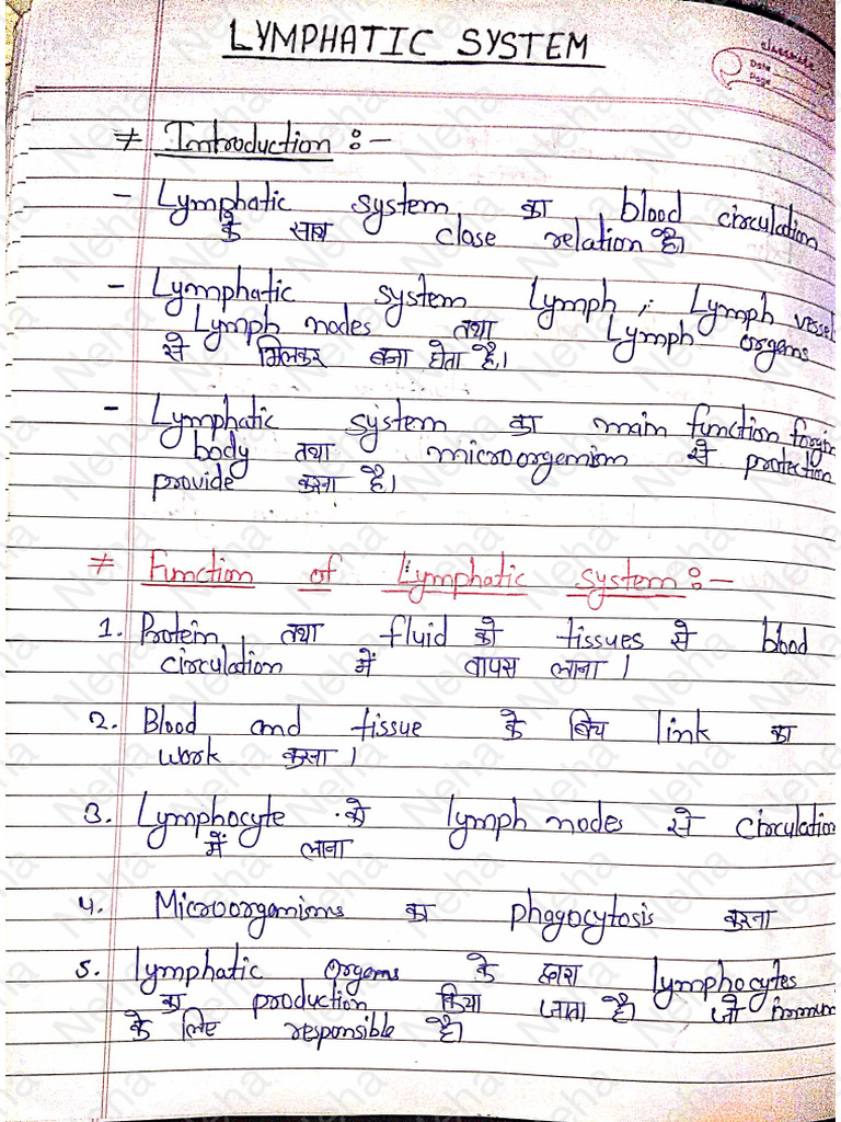 Lymphatic System | PDF