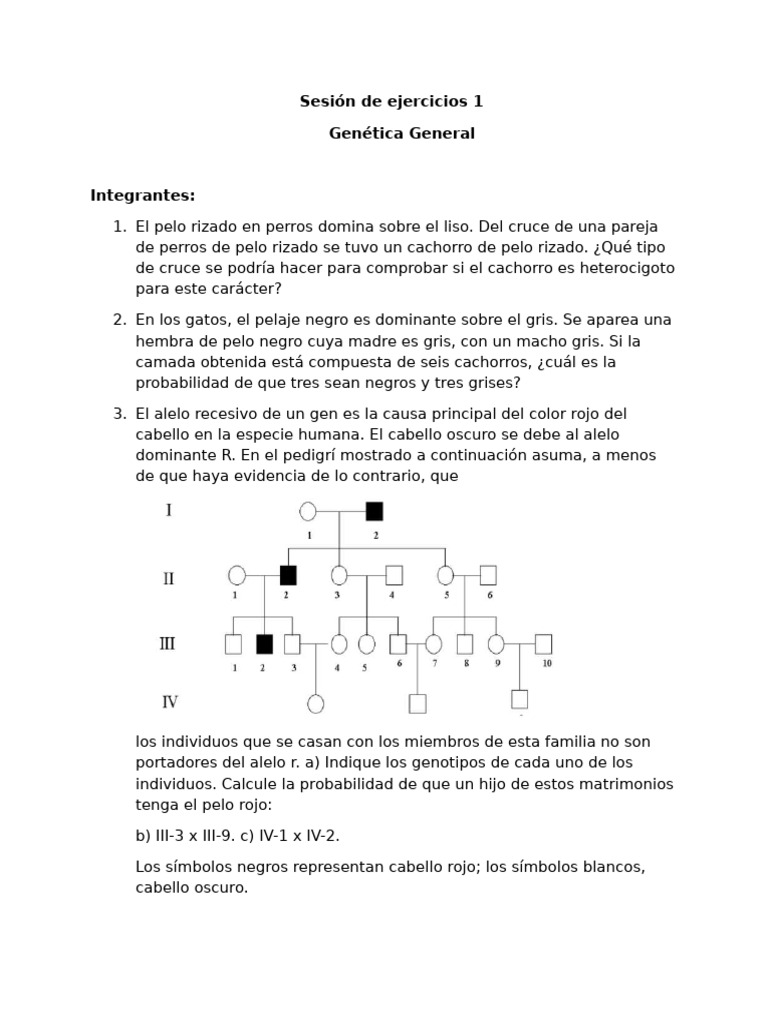 Ejercicios de Genética: Cruzamientos y Probabilidades | PDF ...
