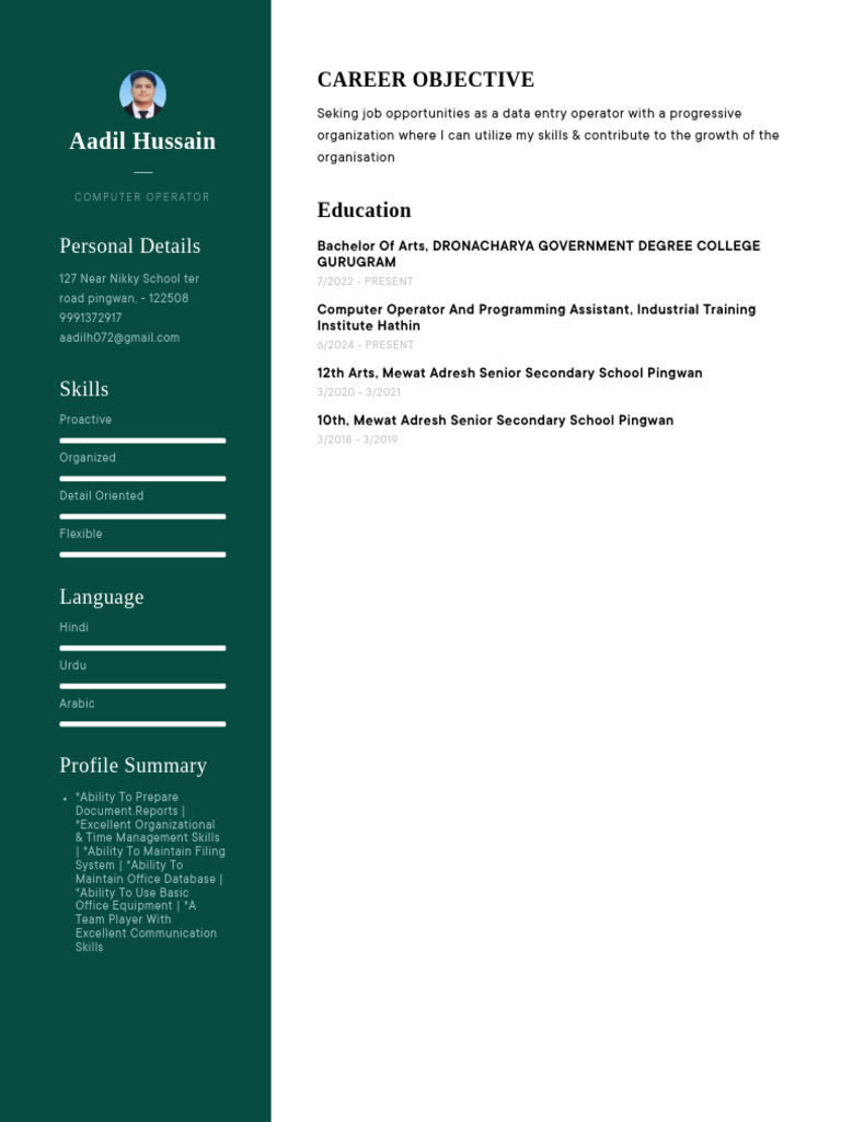 Aadil's Resume 1 | PDF