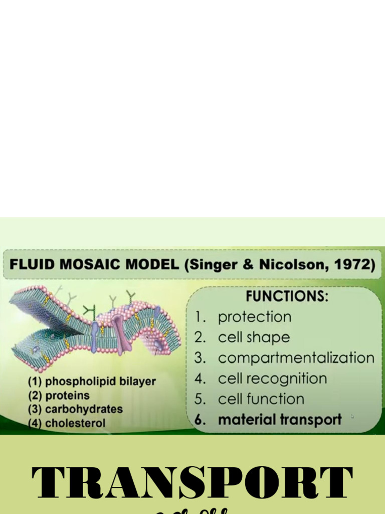 Transport Across Membrane | PDF
