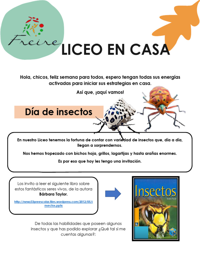 Actividad Insectos Niños Primero | PDF