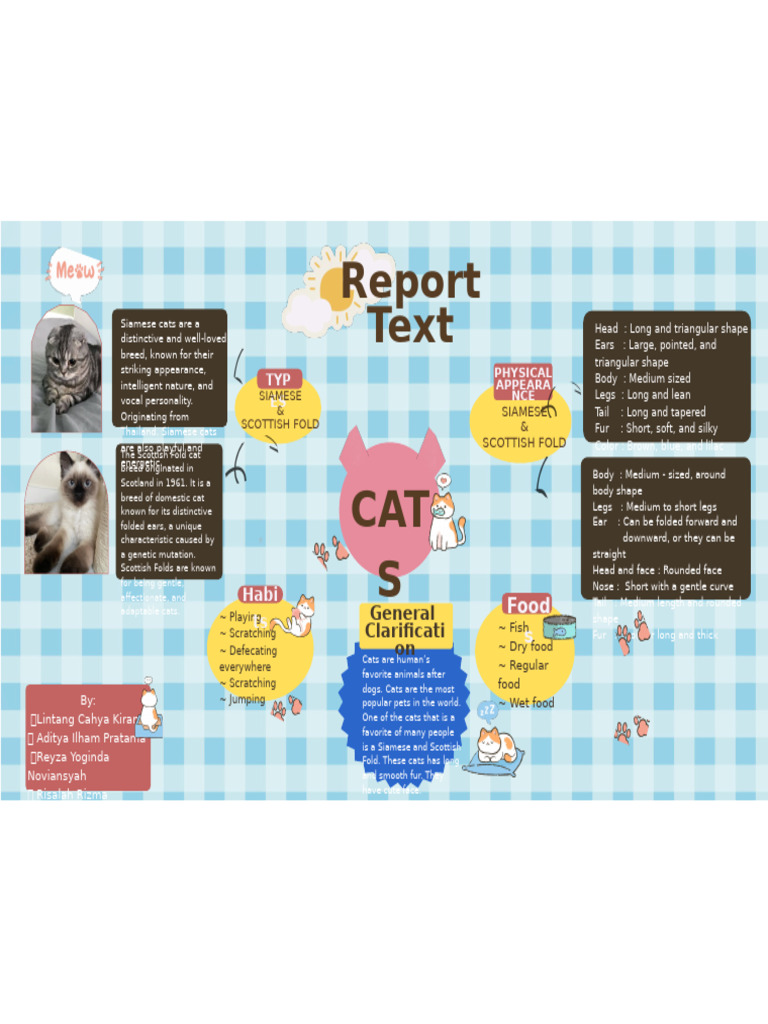 Report Text About Cat | PDF | Cats | Cat Types