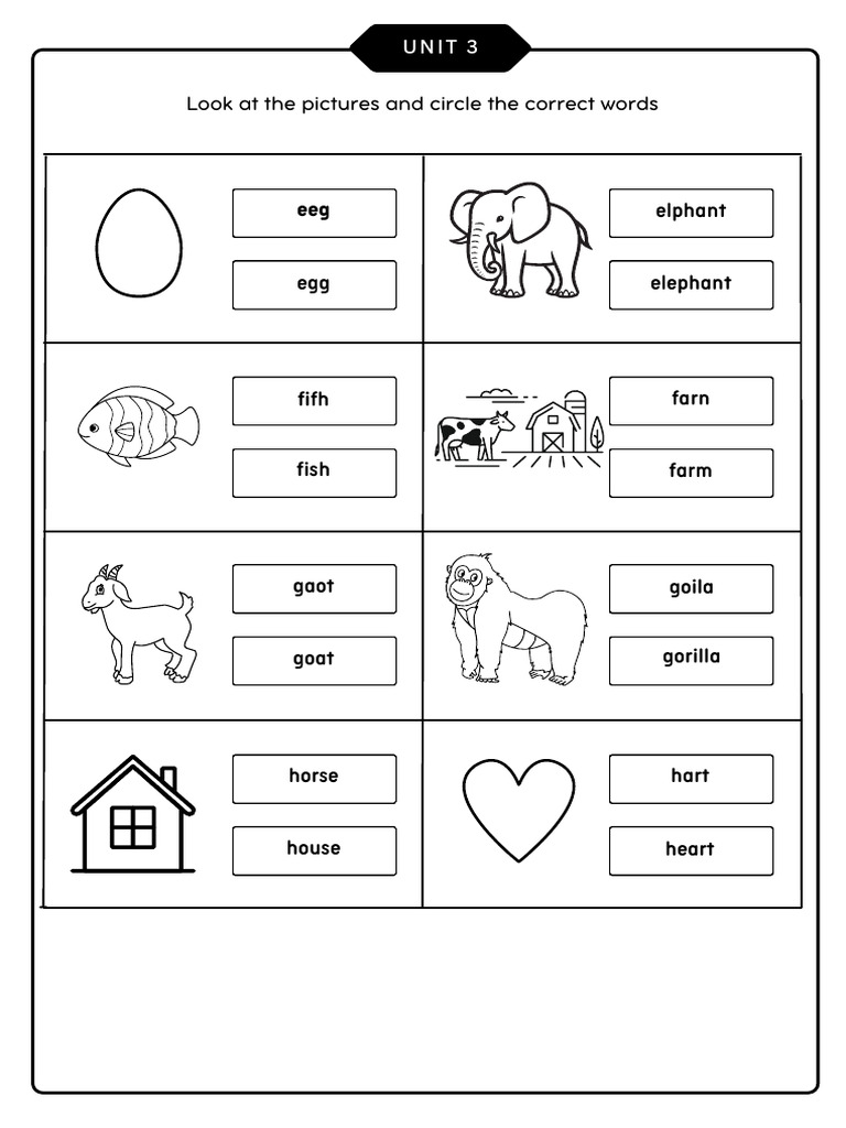 Kids Activity Book Cover A4 Document | PDF