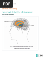 ICD-10 Codes for Subarachnoid Hemorrhage | PDF | Nervous System ...