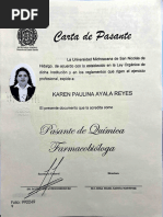 PIMSS 4T - 1T. Programa Institucional Del IMSS 2020-2024 | PDF ...