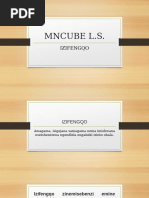 1 Isixhosa HL Worksheeet Notes Grade 11 Drama 11 Nathi Singabantu | PDF ...