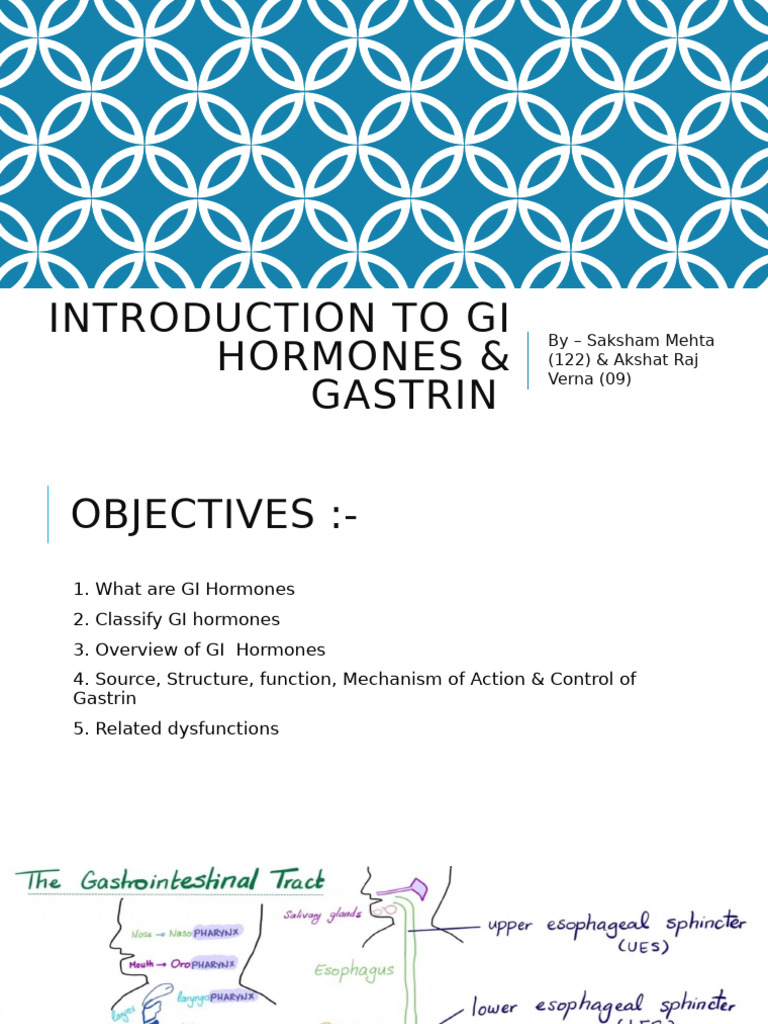 Introduction To GI Hormones & Gastrin | PDF | Stomach ...