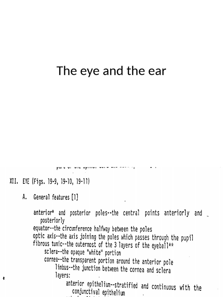 The Ear and The Eye | PDF | Anatomical Terms Of Location | Cornea