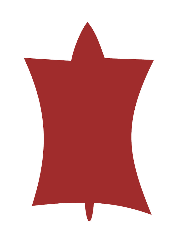 Logo Flying Turtle 300dpi | PDF