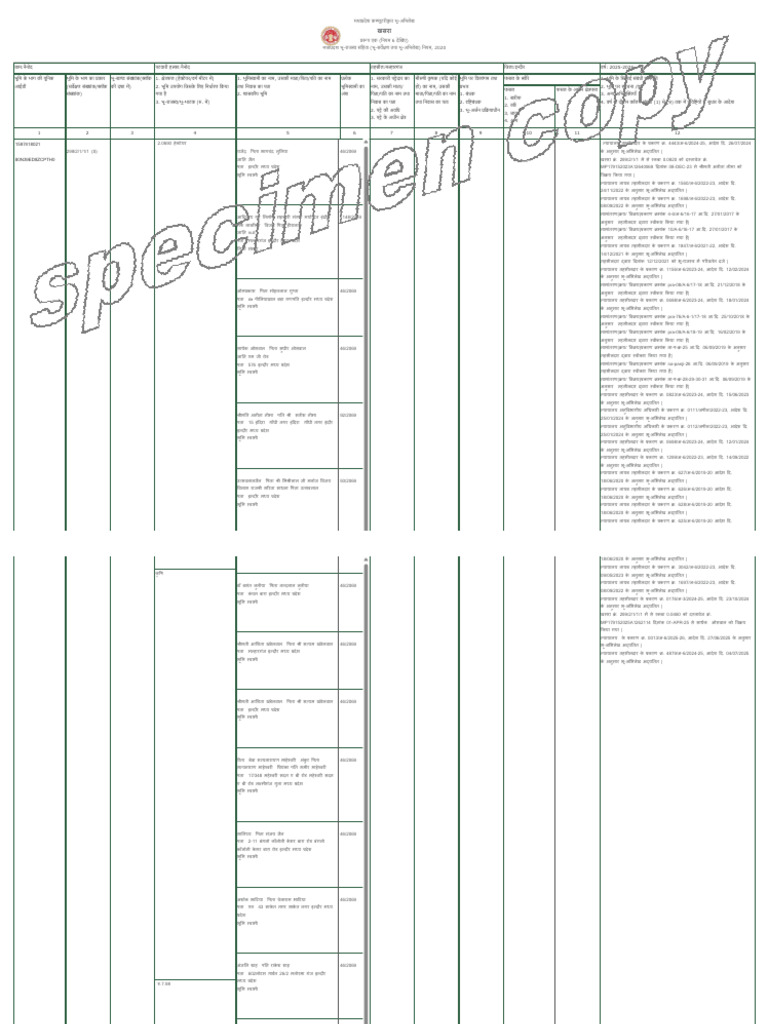 Khasra 299 - Multiple Owners Mentioned | PDF