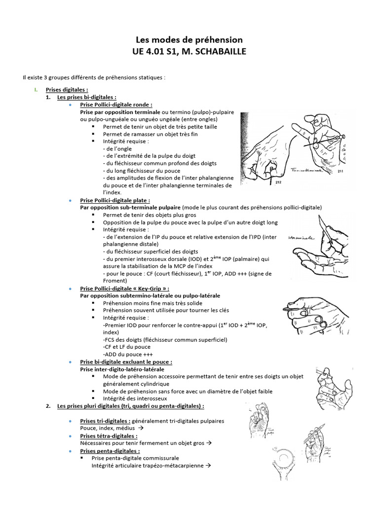 Modes de préhension de la main | PDF | Main | Anatomie des primates