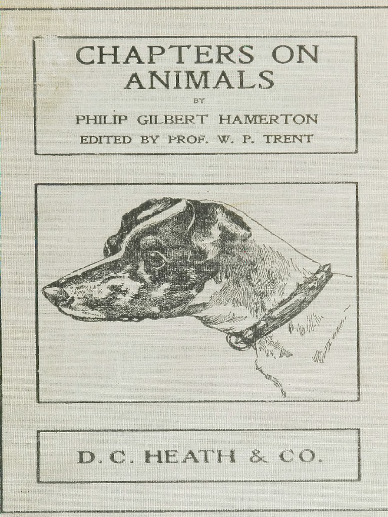 Chapters On Animals Dogs, Cats and Horses | PDF | Poodle | Odor