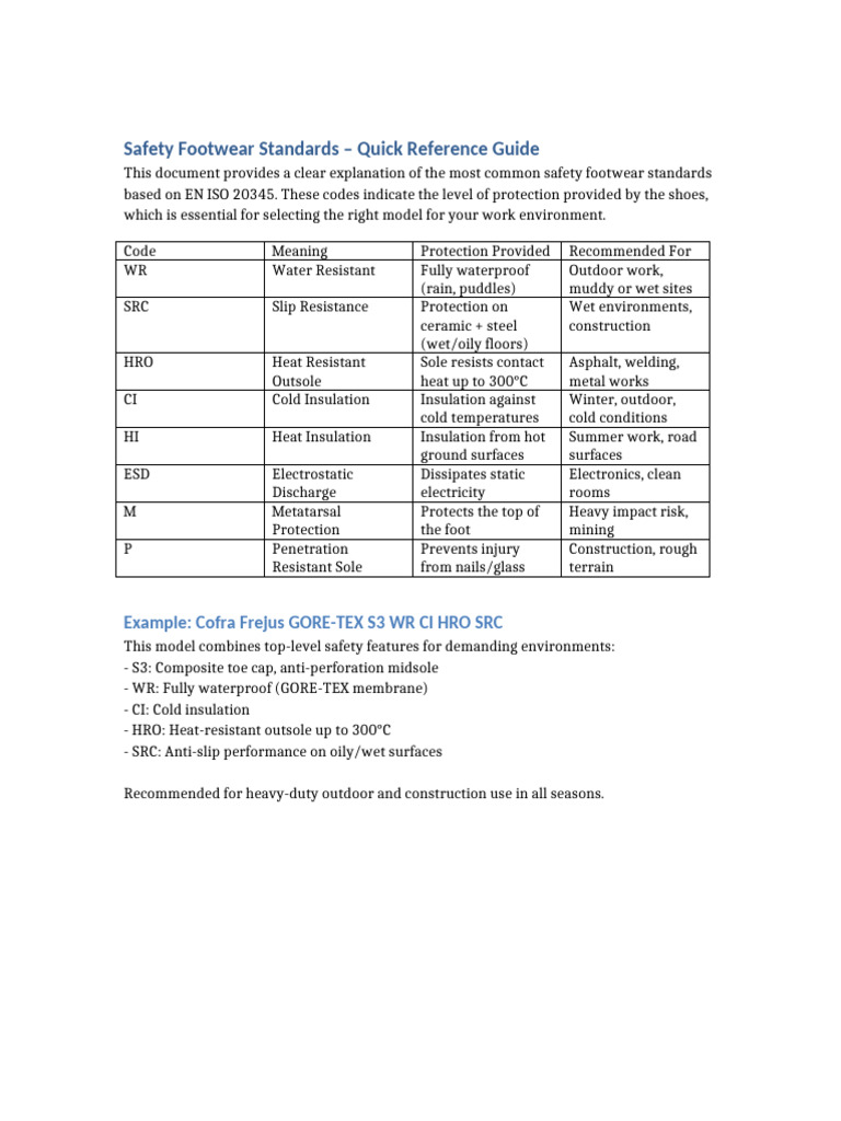 Safety Footwear Standards Overview | PDF