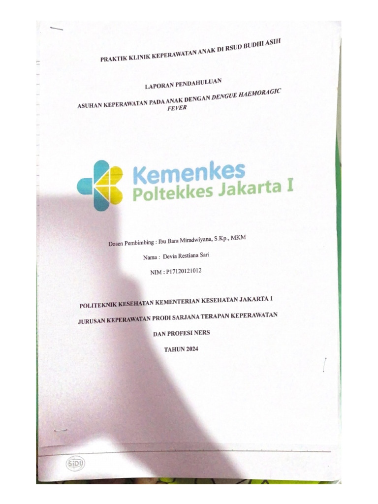 LP - DHF 2 | PDF