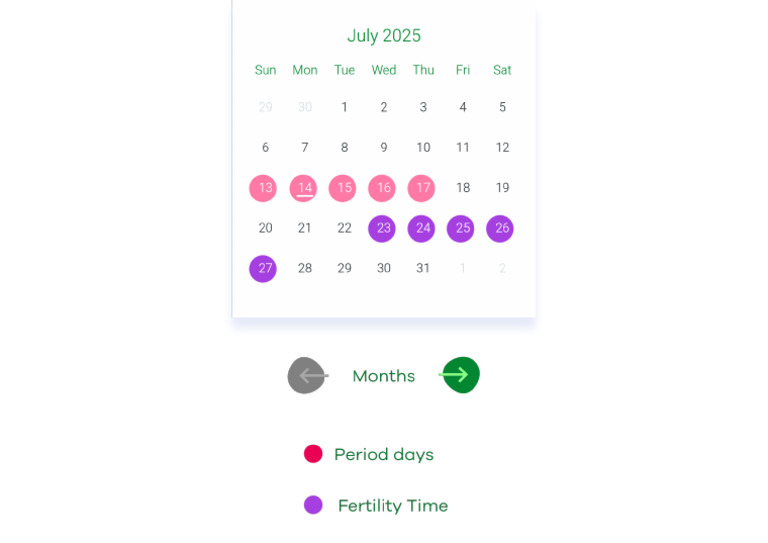 Period Calendar | PDF