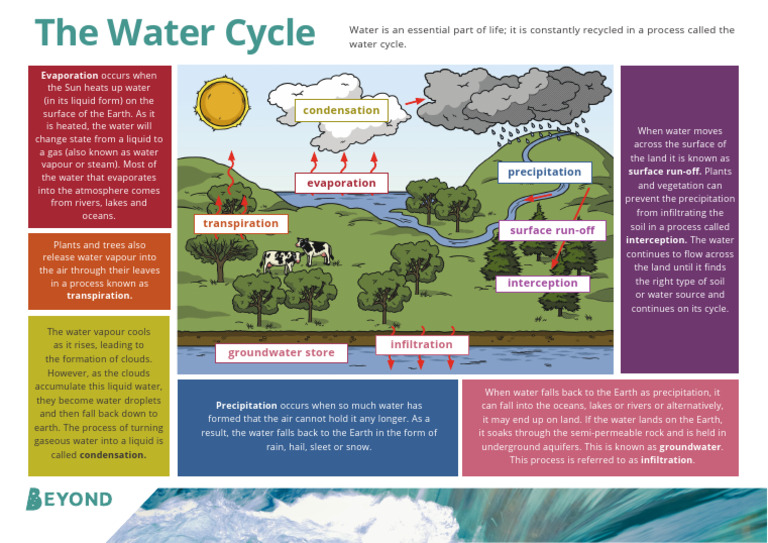 Water Cycle Information Poster - A3 | PDF | Water Cycle | Water