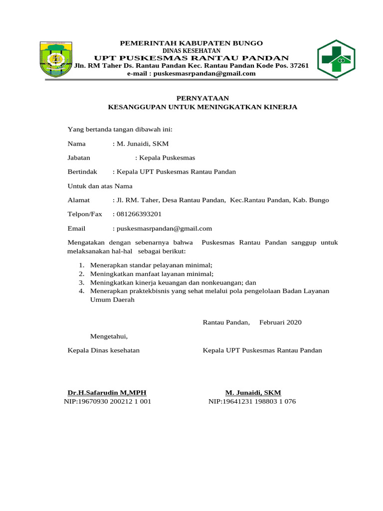Kesanggupan Puskesmas Rantau Pandan | PDF
