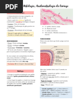 Anatomia e Fisiologia da Laringe | PDF | Laringe | Sistema respiratório