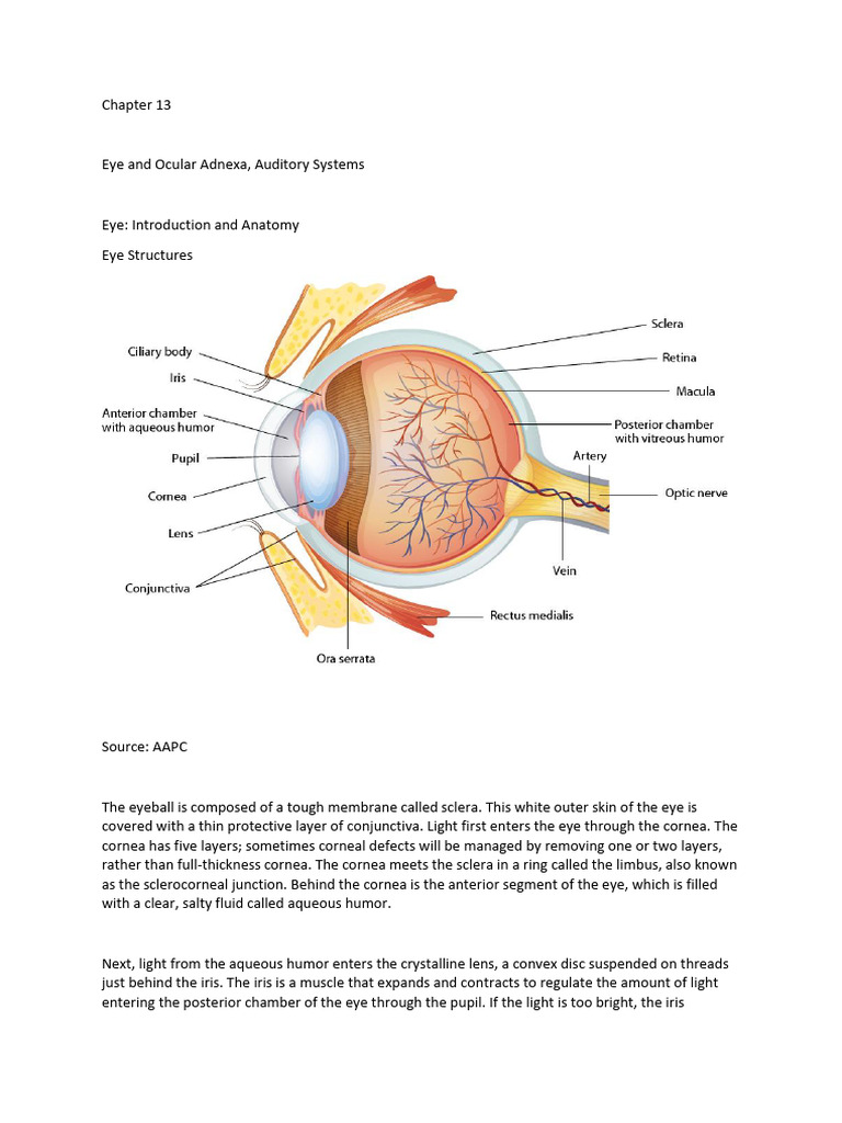 Chapter 13 Eye, Ocular, Adnexa | PDF | Ear | Glaucoma