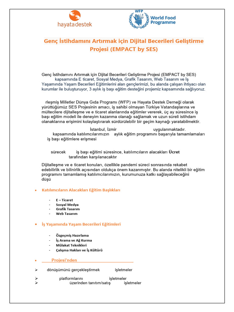 Dijital Becerileri Geliştirme Projesi | PDF