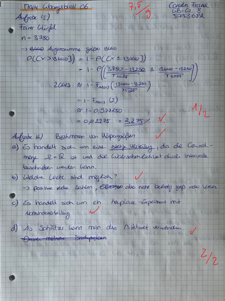 Bungsblatt 6 Franzl | PDF