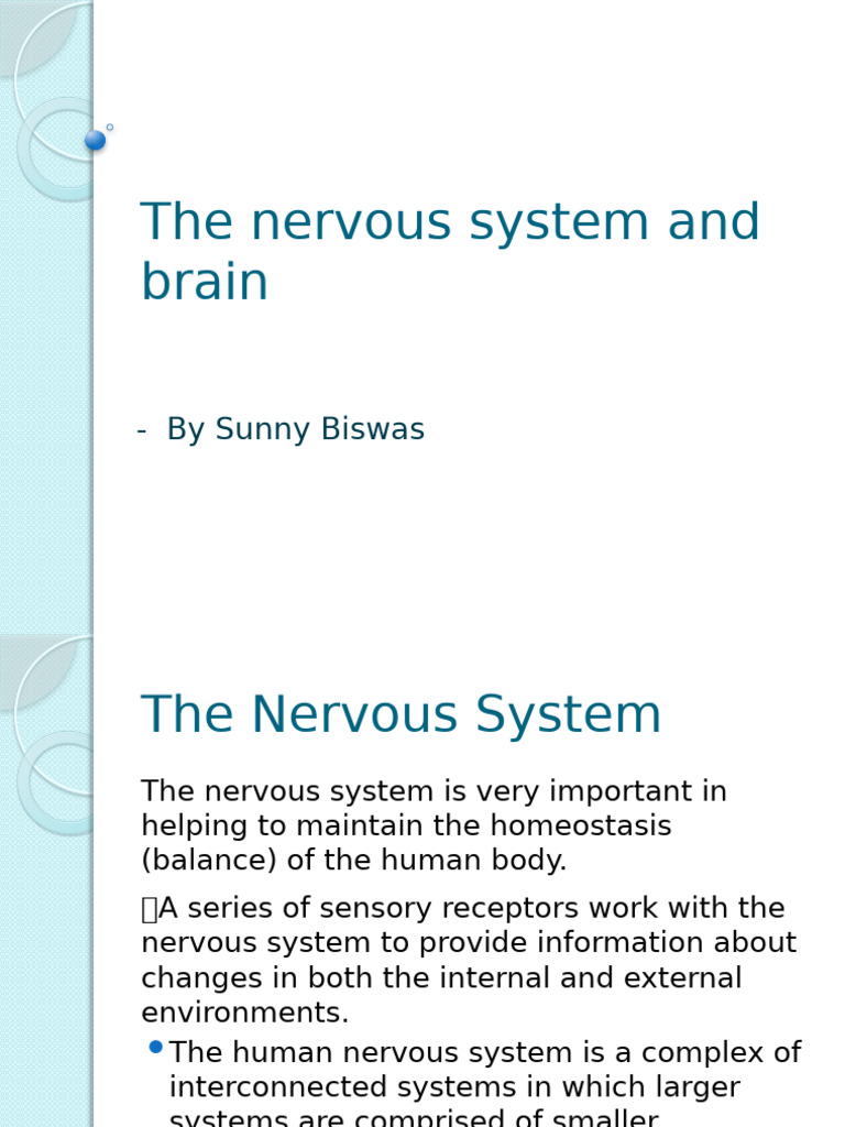 Brains and Cranial Nerves | PDF | Central Nervous System | Nervous System