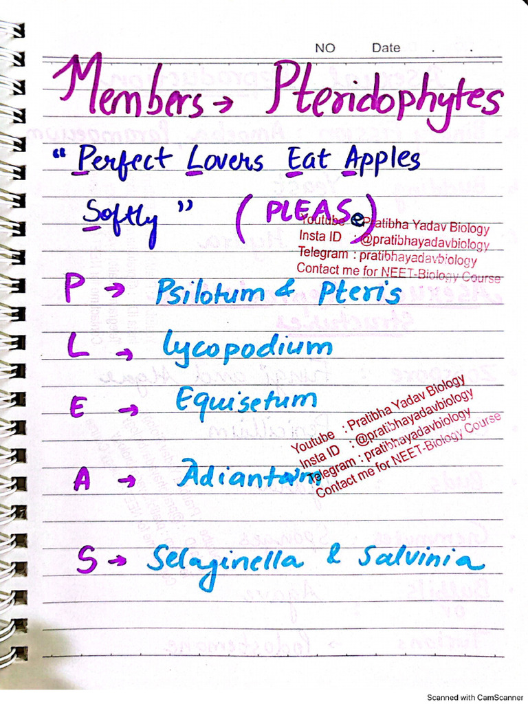 Neet Biology Tricks - 2025 | PDF