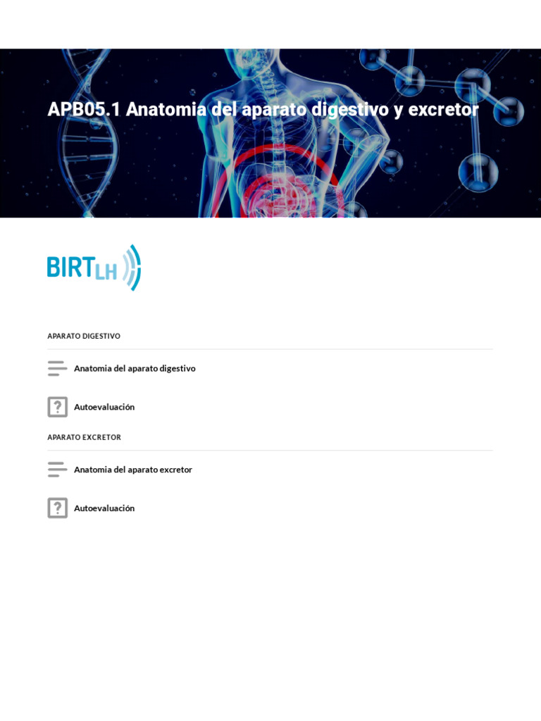 Apb 05 1 Anatomia Del Aparato Digestivo y Excretor | PDF | Riñón ...