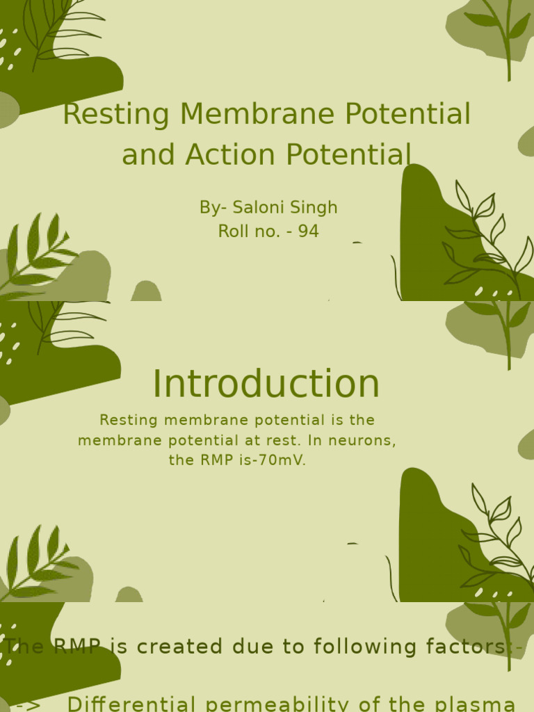 Resting Membrane and Action Potential | PDF | Action Potential ...
