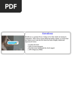 Cathedral by Raymond Carver | PDF