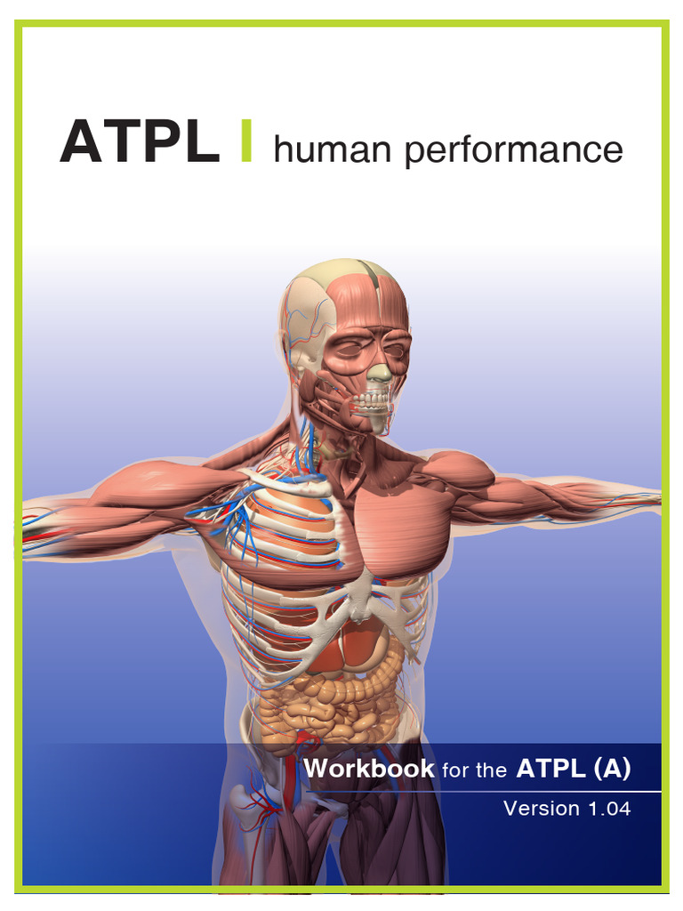 Human Perf Workbook 1.4 Answers | PDF | Heart | Respiratory System