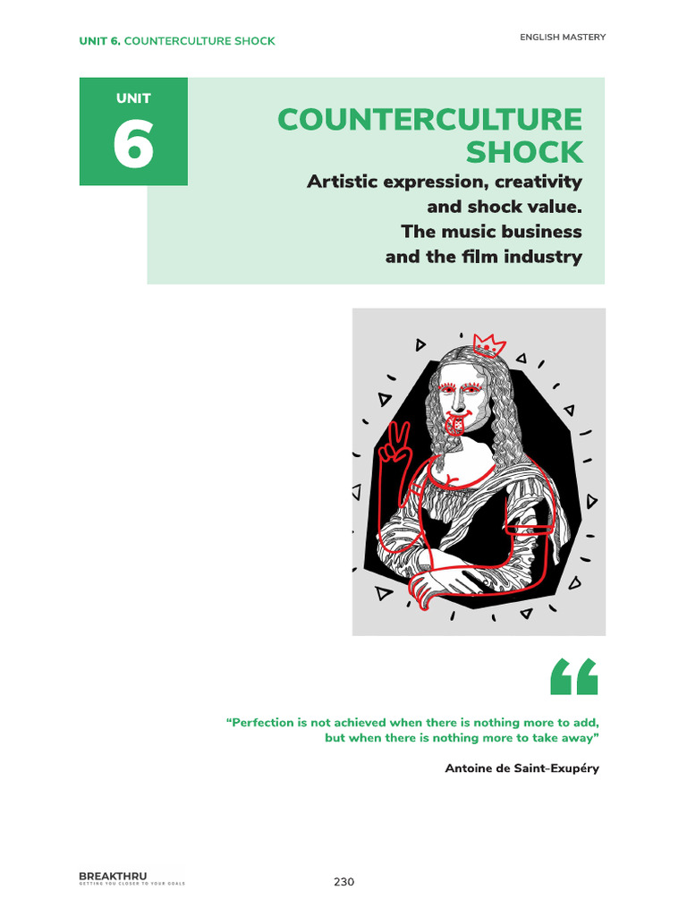Cutlure Shock | PDF