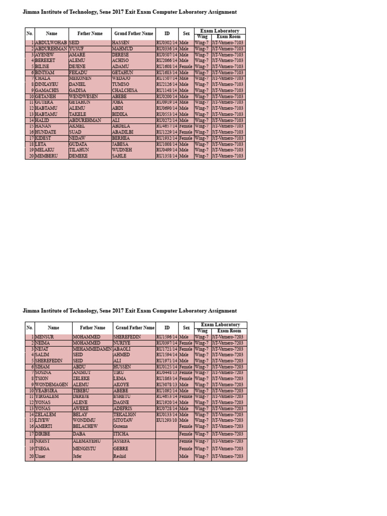 IT Program Computer Laboratory Assignment For National Exit Exam | PDF