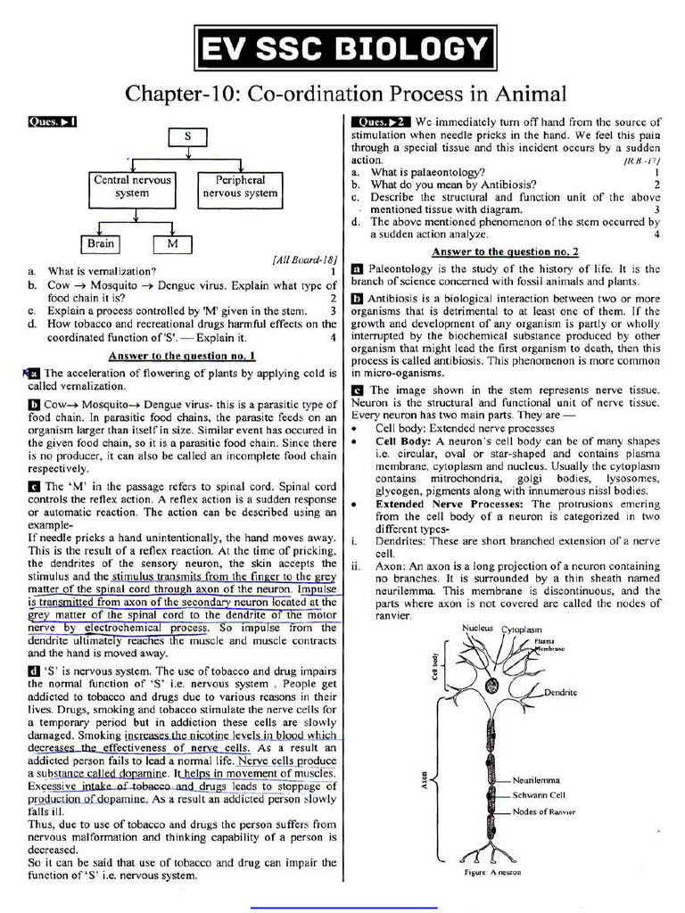 SSC Ev Biology 10th Chapter Note | PDF
