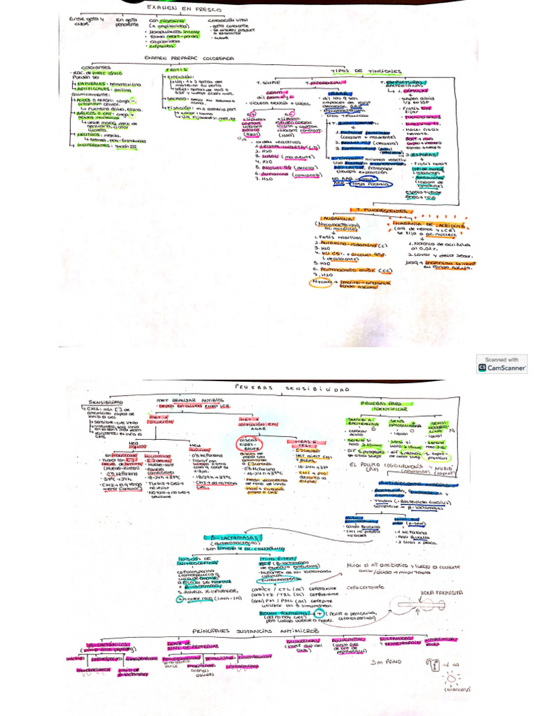 Micro Resume N | PDF