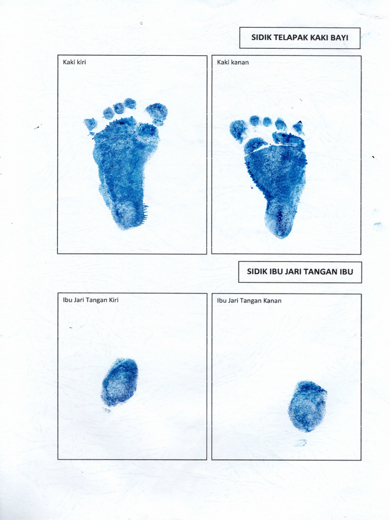 Scan2025 07 15 - 174805 | PDF