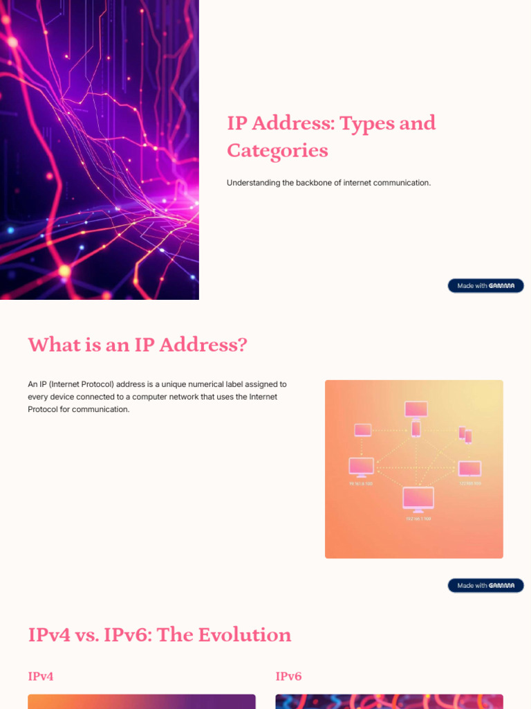 IP Address Types Explained | PDF